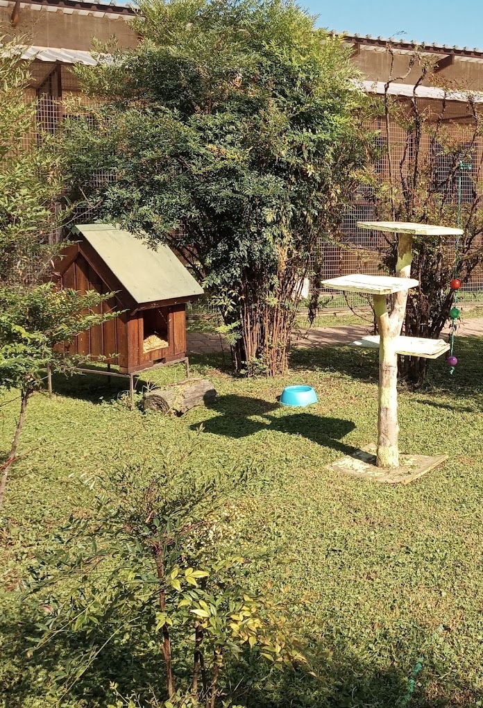 Cattery in the Country - Luxury Cat Hotel - A countryside escape for ...